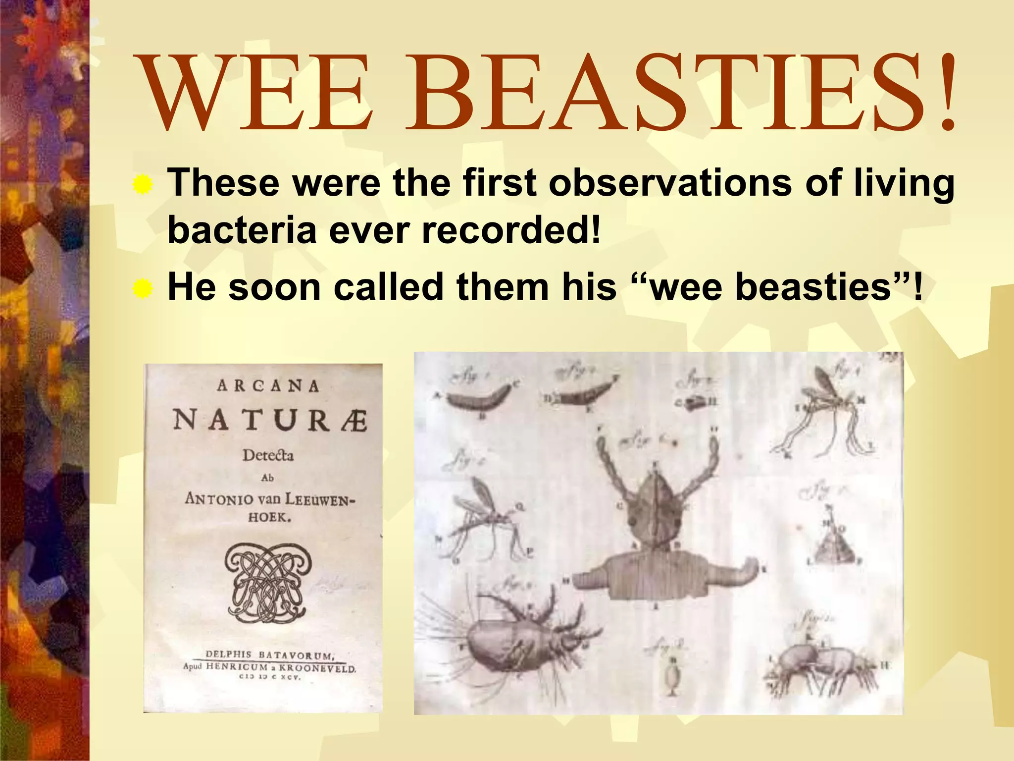 History of the Microscope.ppt