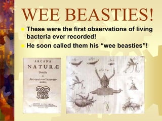 History of the Microscope.ppt