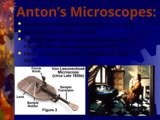 History of the Microscope. Timeline on developmentsppt | PPT