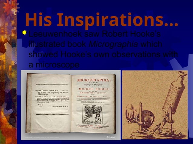 History of the Microscope. Timeline on developmentsppt | PPT