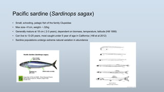 History of the pacific sardine fishery and its | PPTX