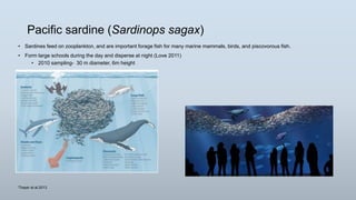 History of the pacific sardine fishery and its | PPT
