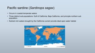 History of the pacific sardine fishery and its | PPTX
