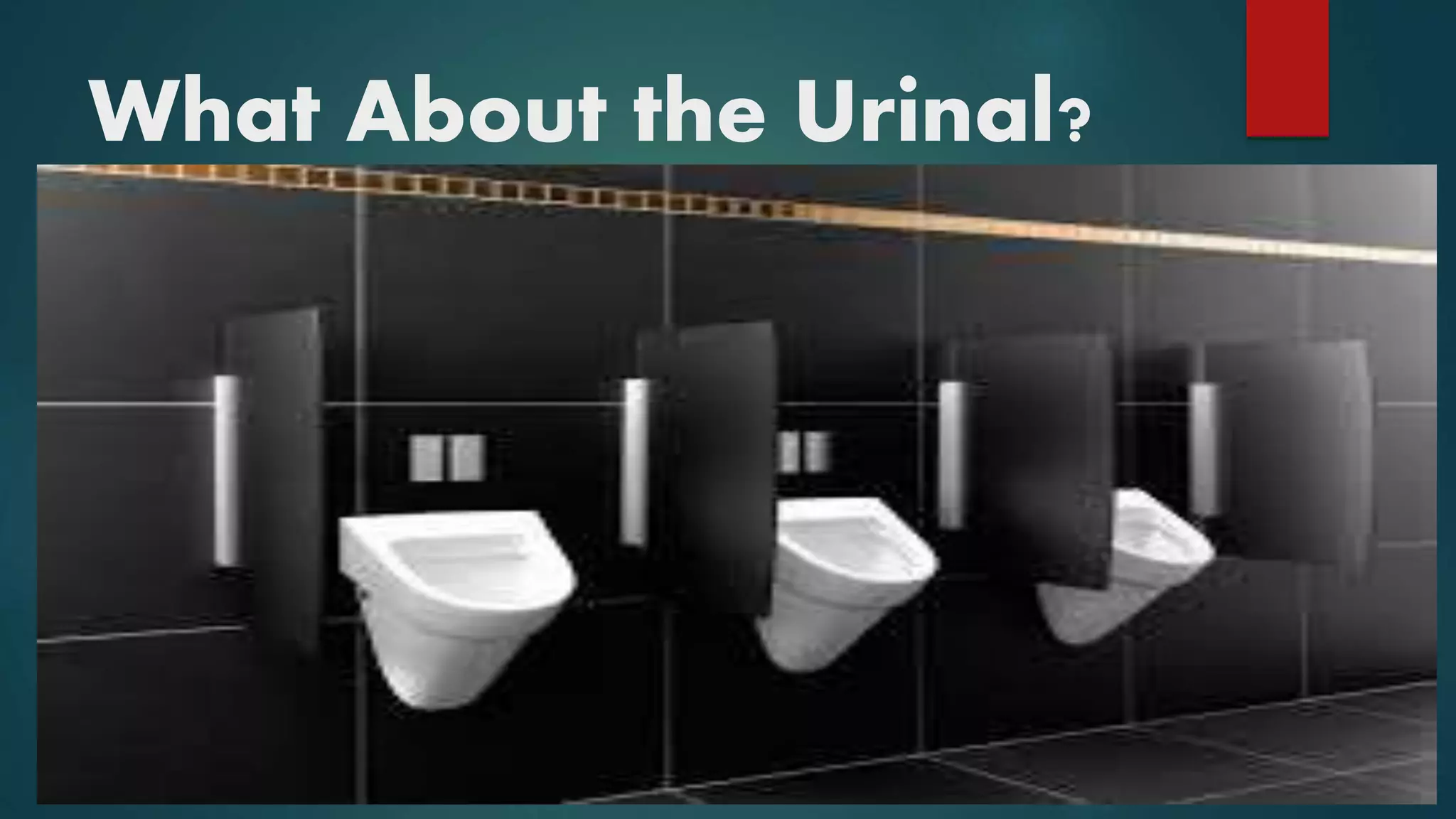 History of the toilet | PPTX