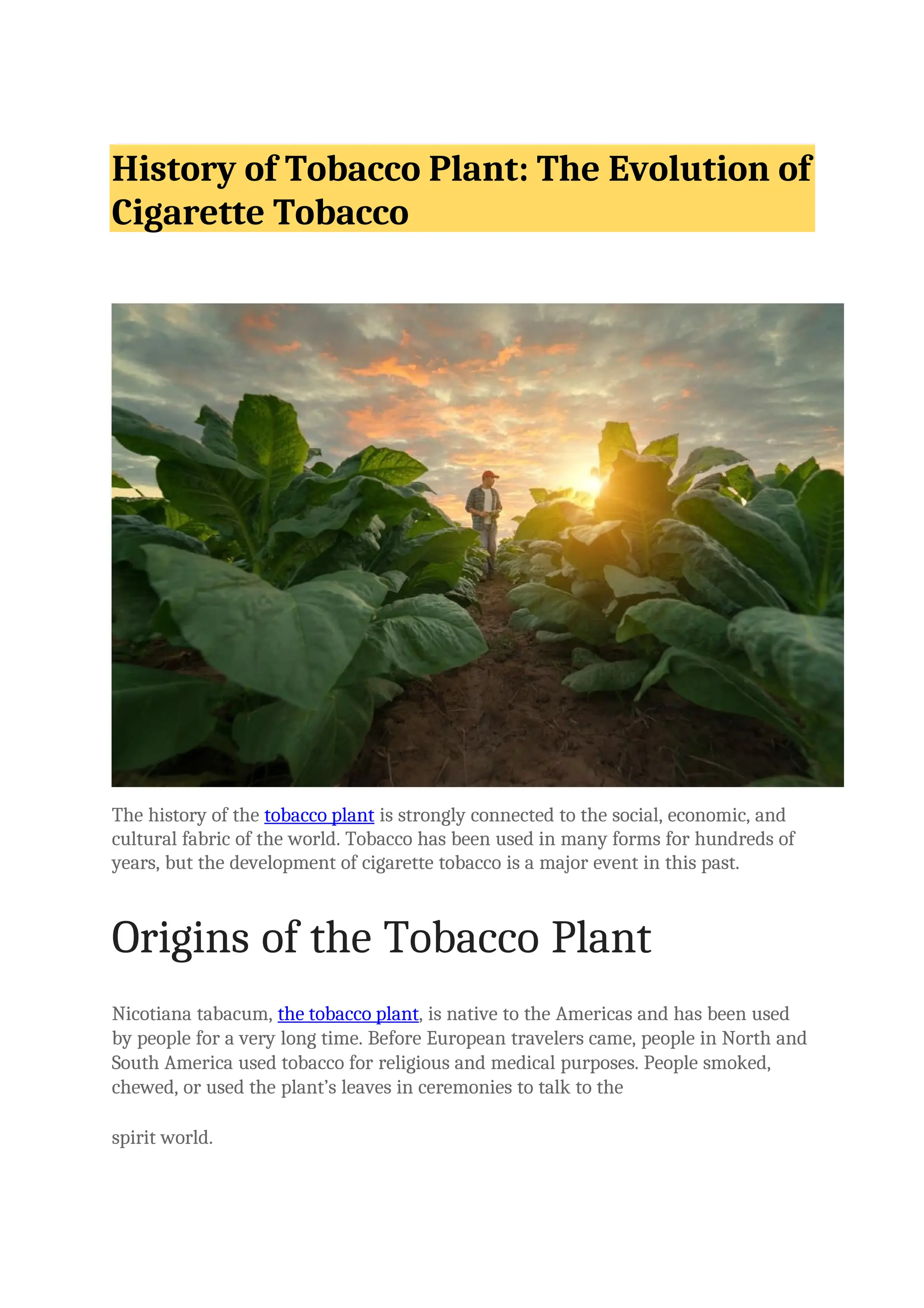 History of Tobacco Plant The Evolution of Cigarette Tobacco.ppt