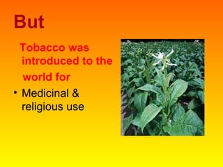 History of tobacco use & abuse | PPT