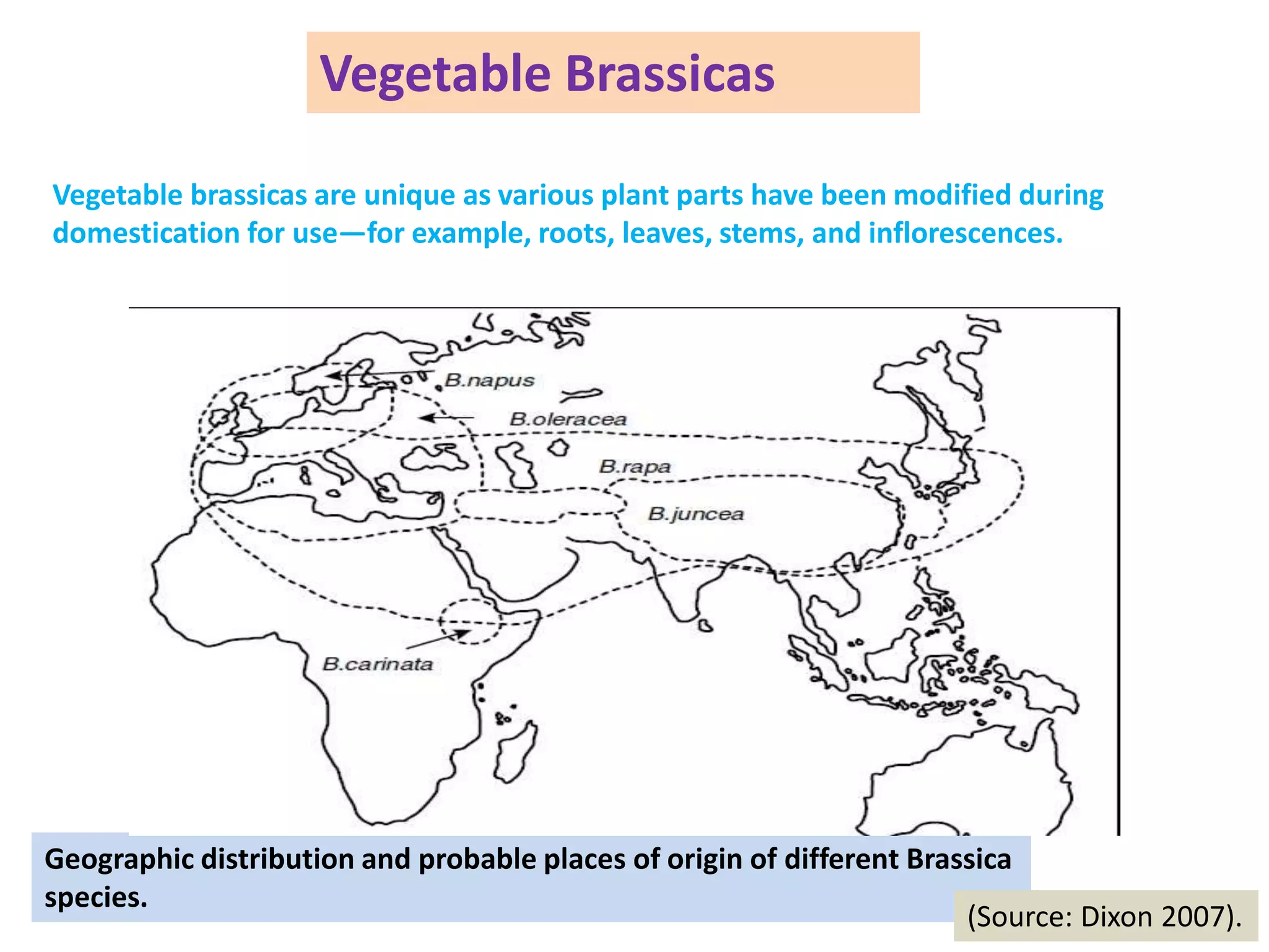 Centers of origin, wild relatives, domestication and history of ...