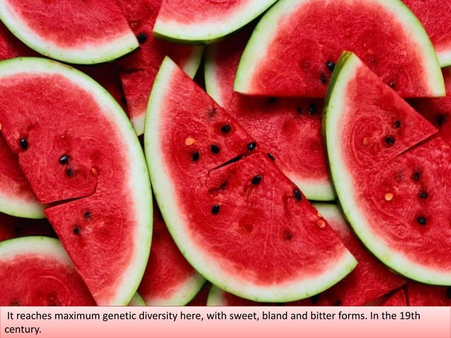 History of watermelon | PPTX