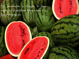 History of watermelon | PPTX