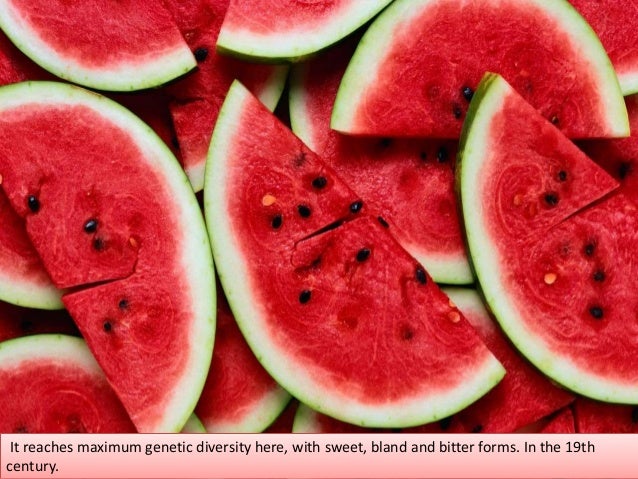 History of watermelon