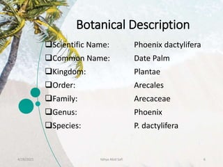 History, origin & production technology of date palm | PPTX