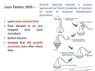 History of Bacteria | PPTX