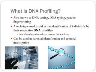 Morgan History part 2 | PPT | Digital Audio | Computer Software and ...