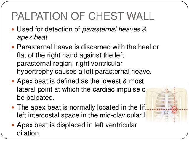 History & physical examination of cvs
