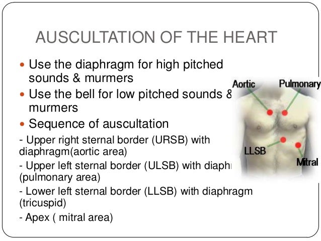 History & physical examination of cvs