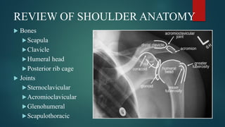 PS SESSION : EXAMINATION OF SHOULDER | PDF
