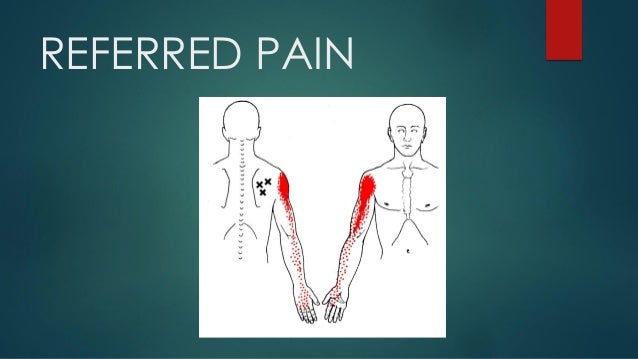 PS SESSION : EXAMINATION OF SHOULDER