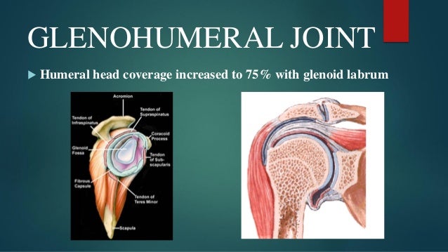 PS SESSION : EXAMINATION OF SHOULDER