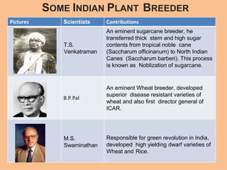 History of plant breeding | PPTX