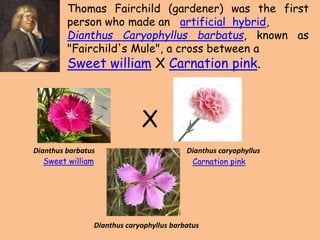 History of plant breeding | PPTX