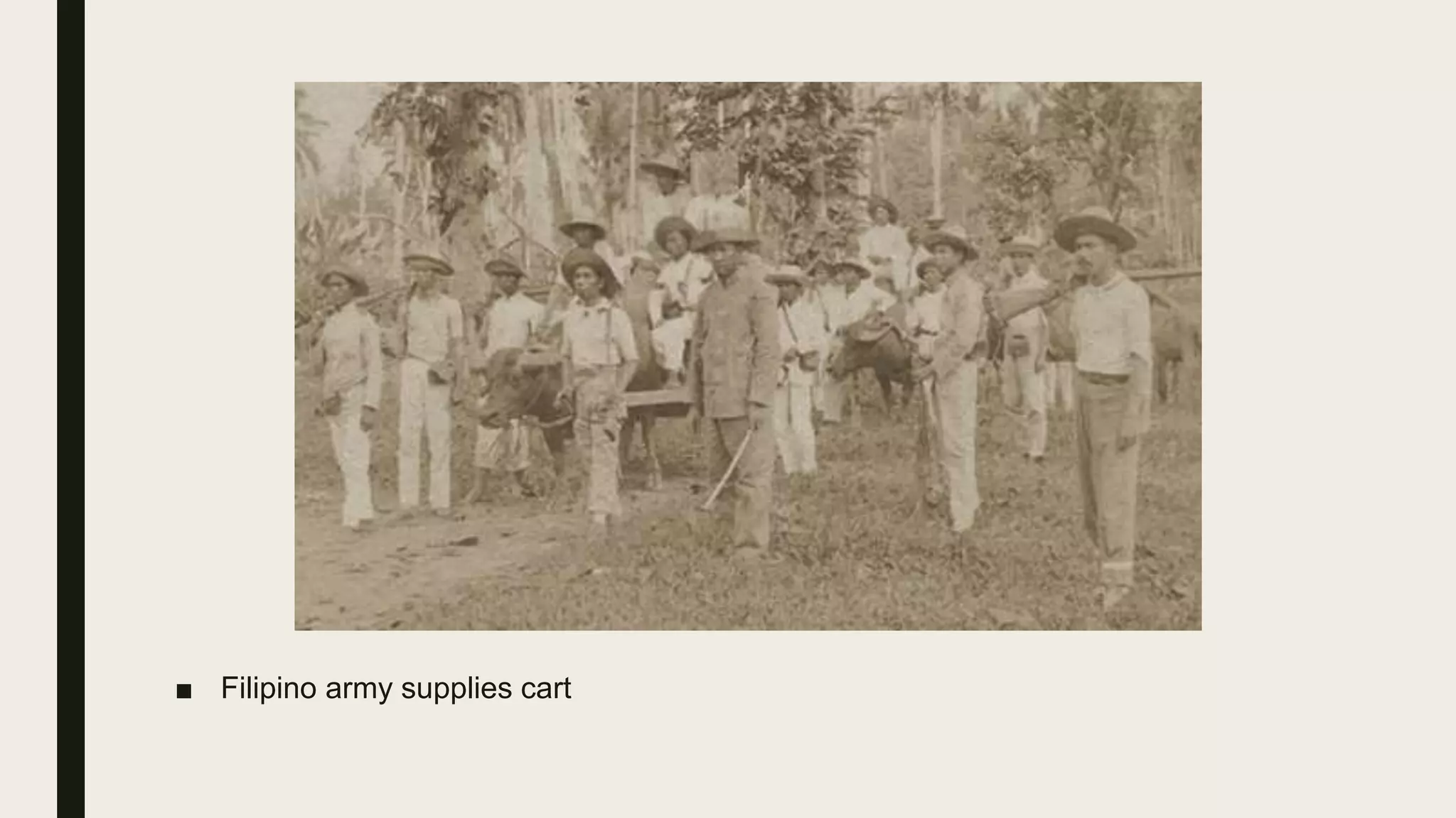 The Filipino-American War | PPTX