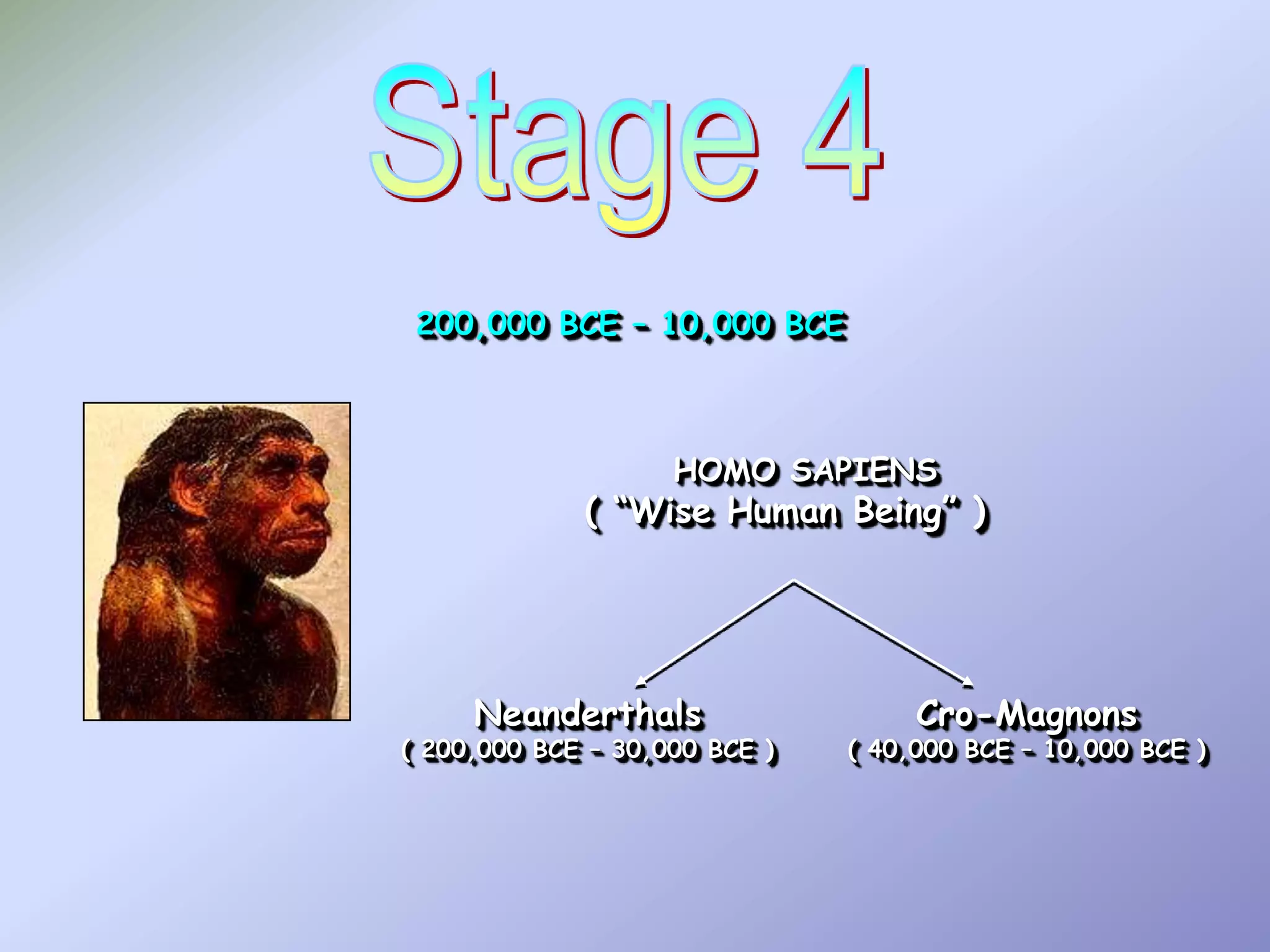THE STORY OF HUMAN EVOLUTION | PPTX