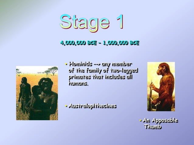 THE STORY OF HUMAN EVOLUTION | PPTX | Geology | Science