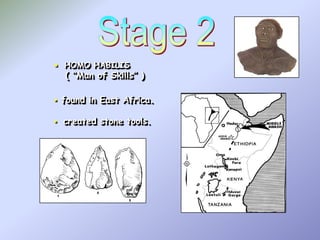 THE STORY OF HUMAN EVOLUTION | PPTX