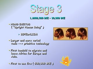 THE STORY OF HUMAN EVOLUTION | PPTX