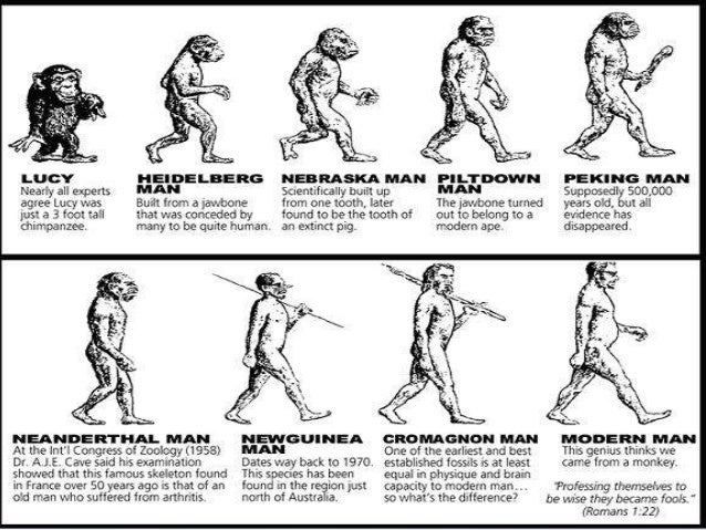THE STORY OF HUMAN EVOLUTION