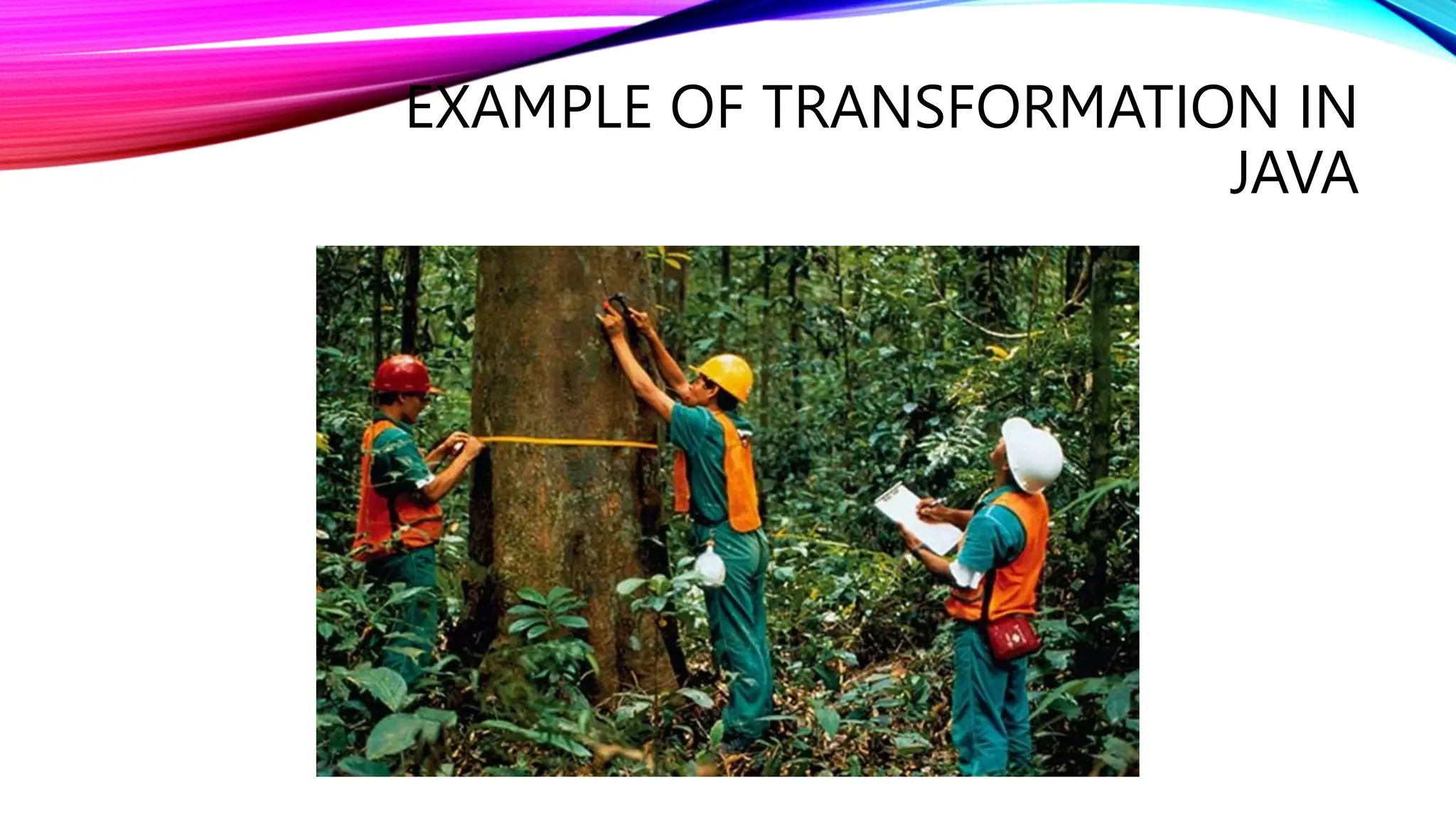 History presentation.pptx