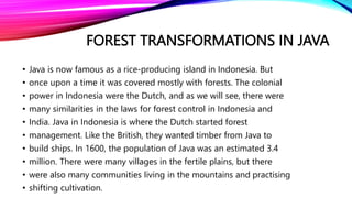 History presentation.pptx