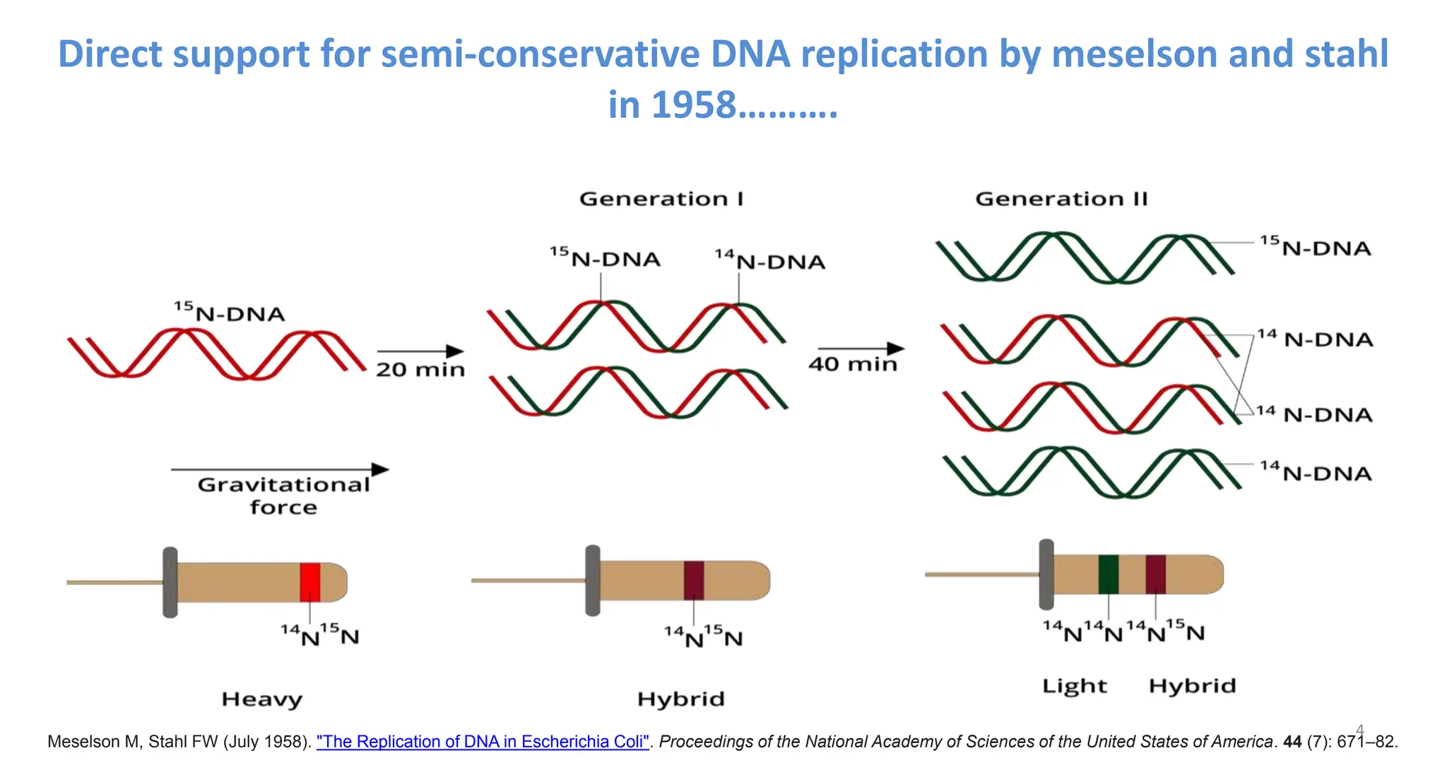 history replication (3).pptx