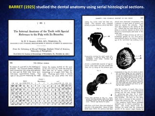 A Brief History of the First Studies on the Root Canal Anatomy | PPTX