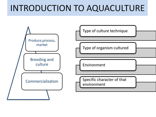 Importance Of Aquaculture Engineering - Design Talk