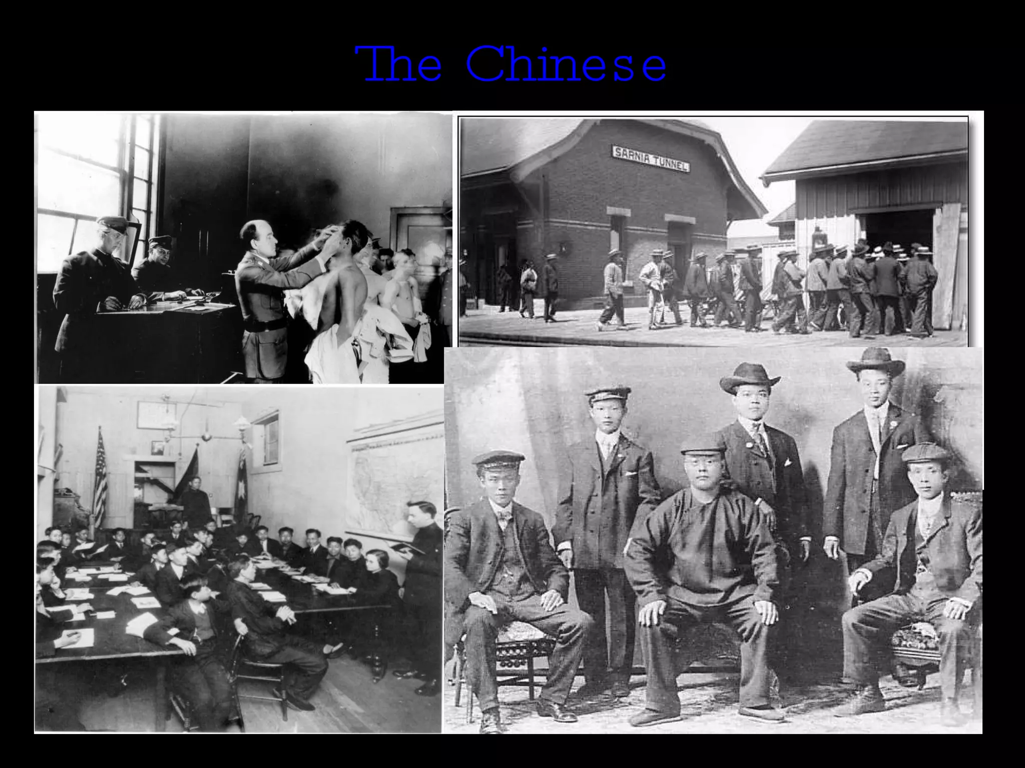 Immigration WebQuest | PPT