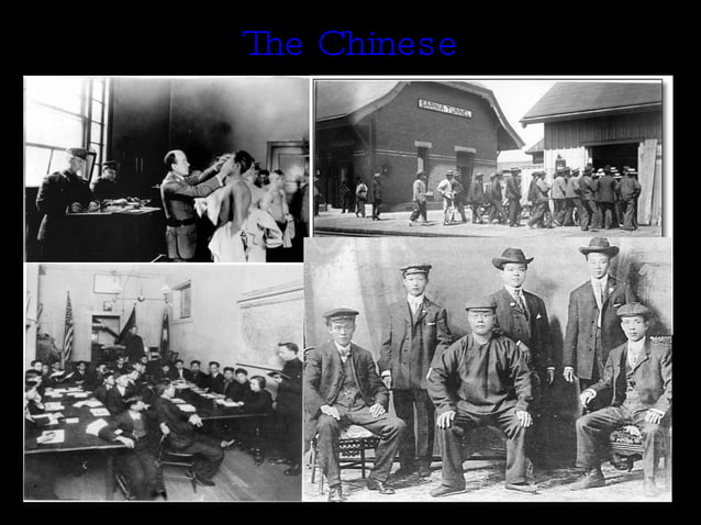 Immigration WebQuest | PPT