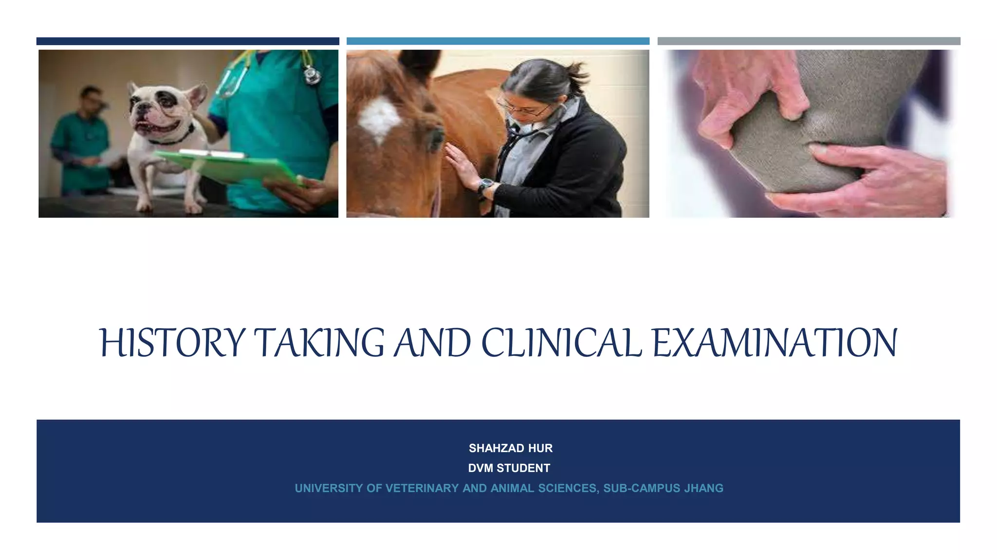 History taking and physical examination | PPTX