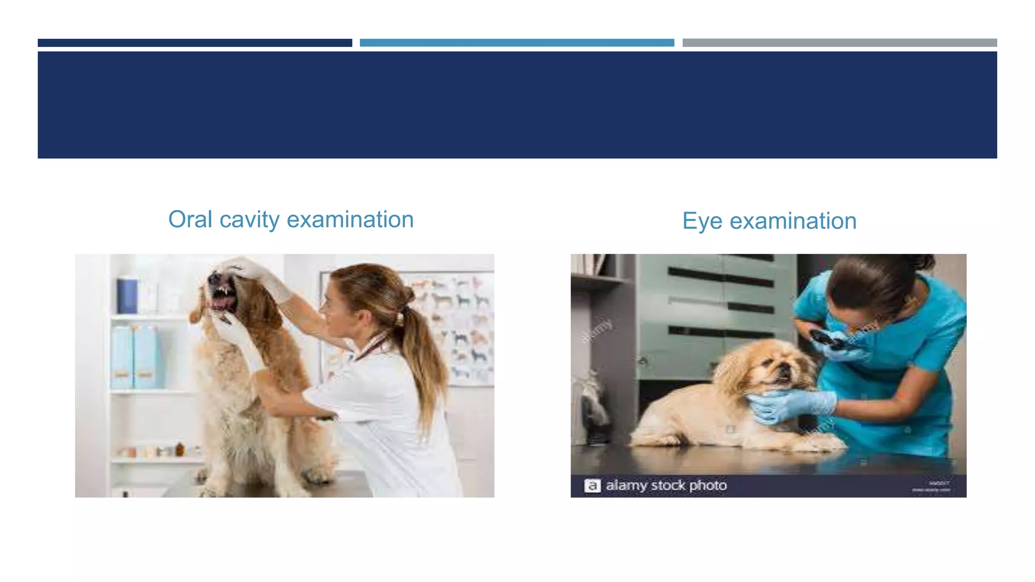 History taking and physical examination | PPTX