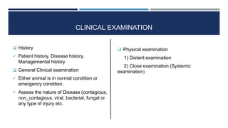 History taking and physical examination | PPTX