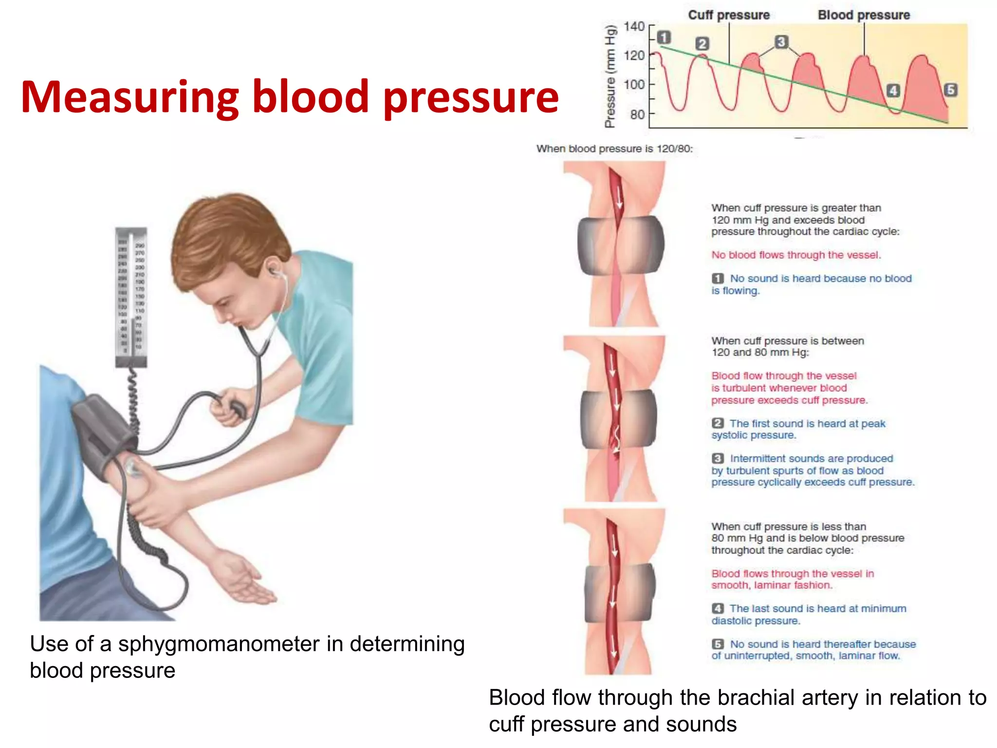 History Taking and Physical Examination of Cardiovascular System-The ...