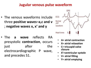 History Taking and Physical Examination of Cardiovascular System-The ...