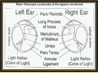History taking & examination in ENT | PPTX