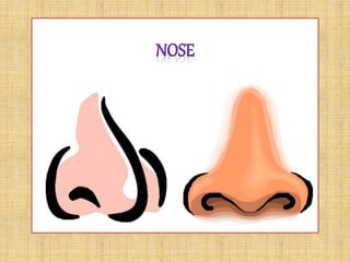 History taking & examination in ENT | PPTX