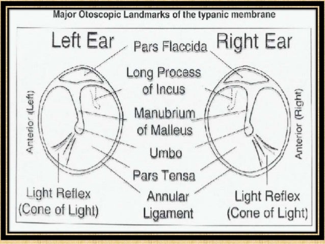 History taking & examination in ENT