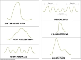 History taking & examination of cardiovascular system | PPTX