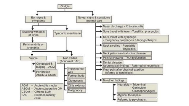 History taking in a case of CSOM with central perforation | PPTX | Ear ...