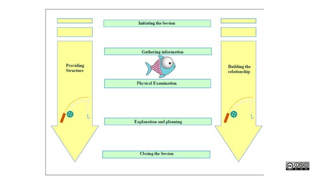 History taking, MSE, communication skills | PDF