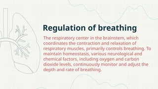 Histo sem 2 Youmna .pptx lungs and respiratory system | PPTX