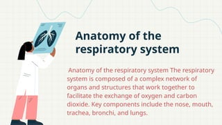 Histo sem 2 Youmna .pptx lungs and respiratory system | PPTX